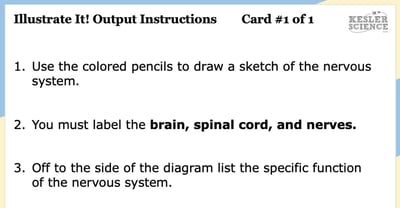Nervous System Lesson Plan – A Complete 5E Method Science Unit